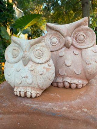 Due gufi portafortuna in terracotta artigianale