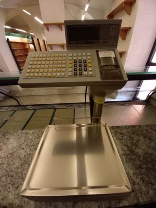 Coppia di bilance professionali Bizerba BS800
