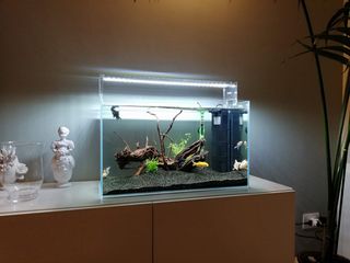 Acquario d'arredo Aqpet