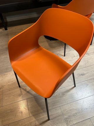 poltroncina  Babila di Pedrali