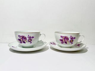 2 tazze da Tè in porcellana Bavaria Verbano Laveno