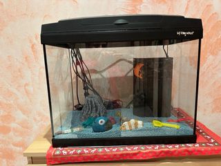 Acquario Evolution 50 da 56 litri