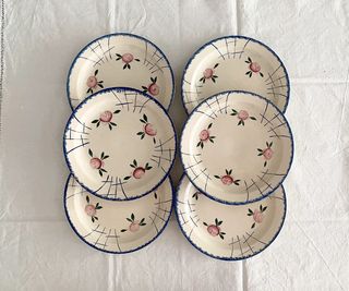 6 piatti da dessert Ceranord St Amand, Terredefer