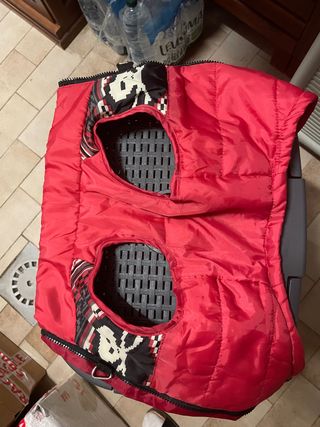 Giubbotto per cani