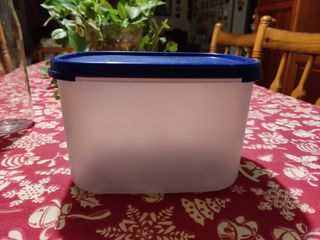 Contenitore Tupperware