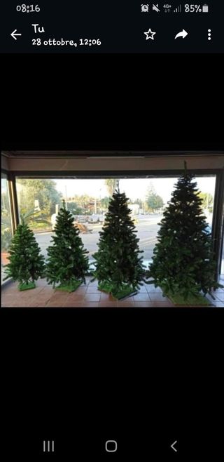 🎄🎁 Prepara il Natale con il nostro albero! 🌟