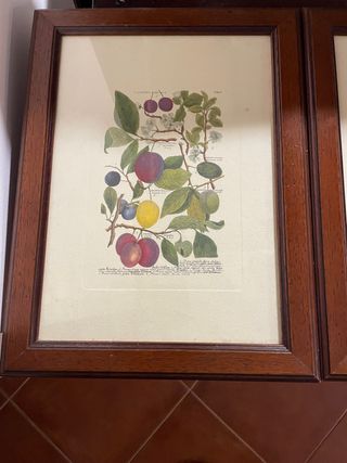 stampe frutta con cirnice legno