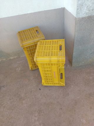 Casse di plastica per alimenti.