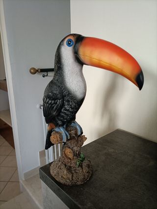 Decorazione Tucano