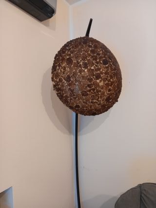 Lampada etnica