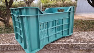 Set raccolta olive