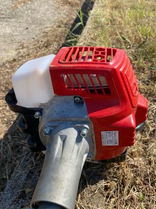 Potatore telescopico