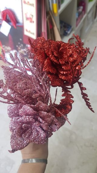 Fiori natalizi
