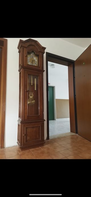 Orologio a pendolo Tempus Fugit