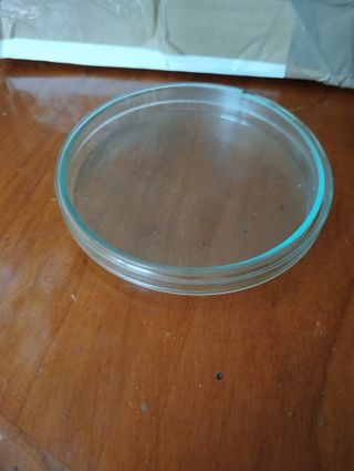 piastre petri in vetro 100mm  (5 pezzi)