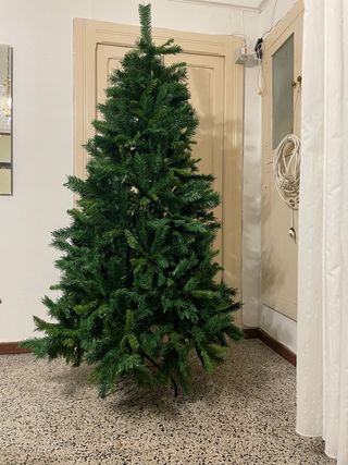 Albero di Natale