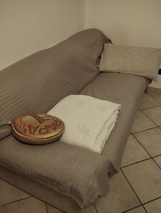 Vendo divano due posti