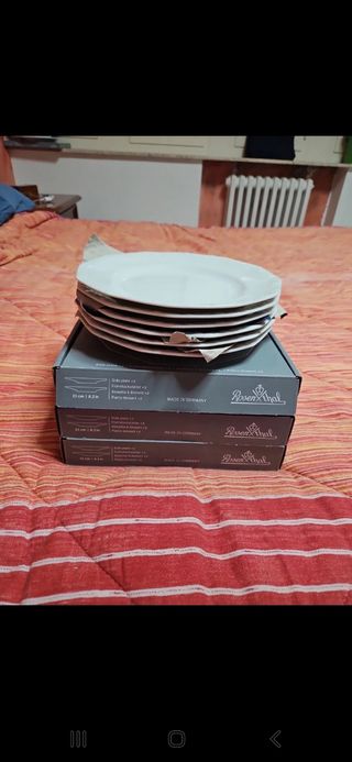 12 piatti dessert rosenthal