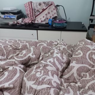 Divano stansa di gatto