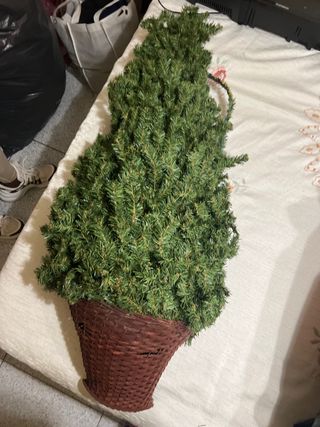 albero di natale