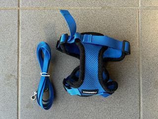 Guinzaglia pettorina cane piccolo / gatto