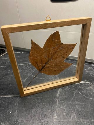 Quadretto di legno foglia vera in vetro