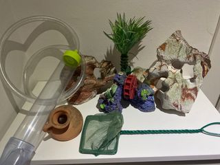 set per acquario+ omaggio