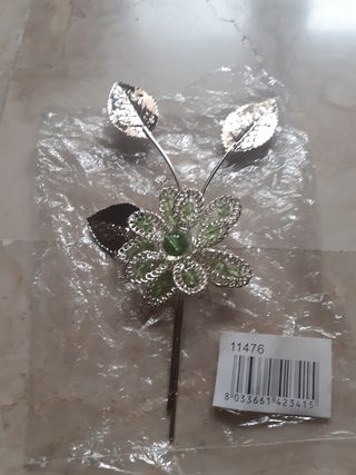 ornamentale fiore a Margherita e foglie