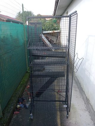 Carrello in ferro