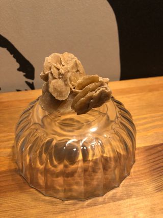 rosa del deserto iraniana