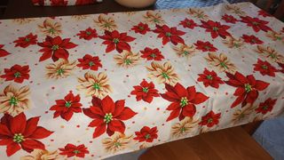 Tovaglia con stelle natalizia