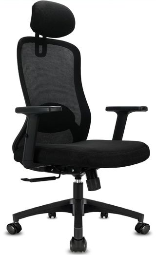 Sedia Da Ufficio Ergonomica Regolabile