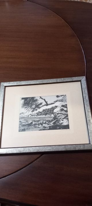 Quadro  Giuseppe Mario D'Amico