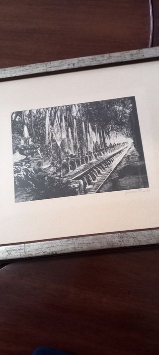 Quadro Giusepoe Mario D'Amico