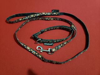 Collare e guinzaglio cani