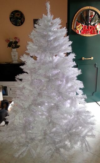 Albero di Natale