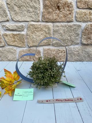 cuore decorativo