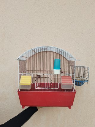 Gabbia per uccelli completa