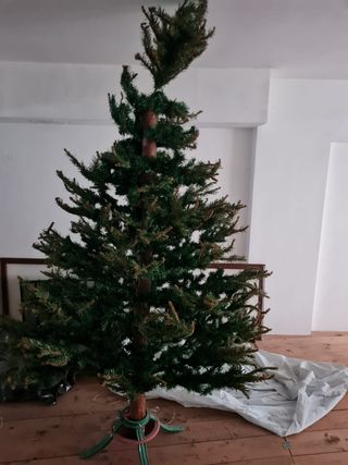 Albero di natale come vero
