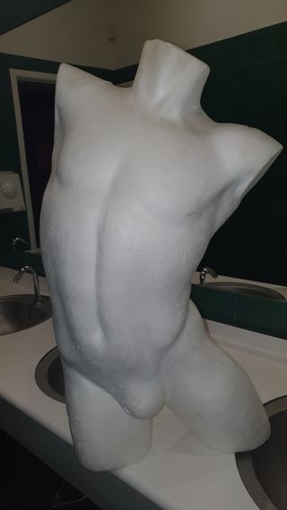 Busto manichino uomo