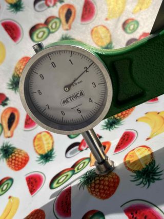 Scampolo pelle accoppiata con tessuto frutta