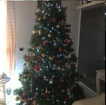 Albero di Natale Marittimo H 240 cm x Ø 145 cm