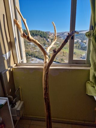 Appendi abiti artigianale