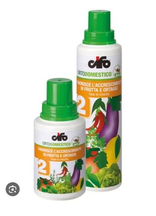 Cifo orto domestico fase 2