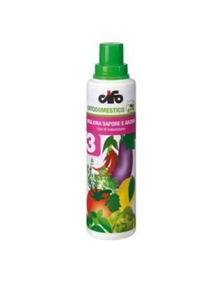Cifo orto domestico fase 3