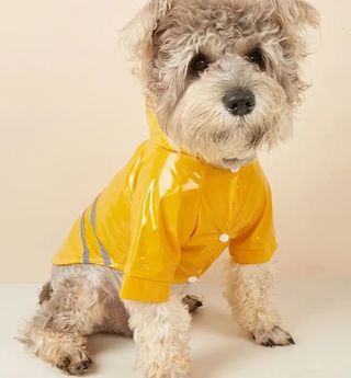 Impermeabile per cane piccola taglia