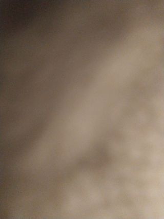 Lotto portaciambella + 4 bicchieri