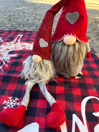 coppia di gnomi natalizi