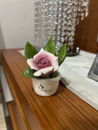 rosa gli alberelli