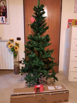 Albero di natale